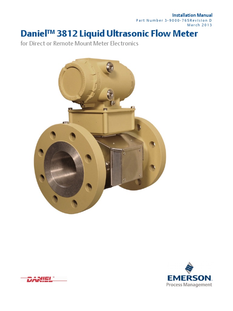 Daniel 3812 Liquid Ultrasonic Flow Meter: For Direct or Remote Mount ...