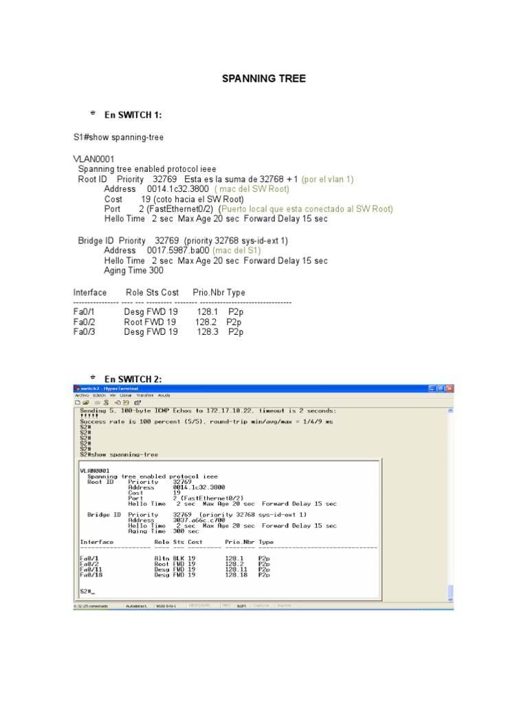 Spanning Tree Protocol Overview | PDF | Computers