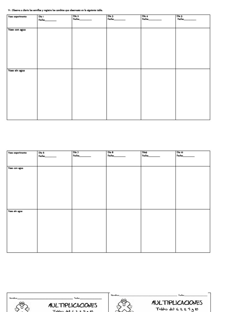 Ficha Observacion Planta | PDF | Hogar, jardinería y bricolaje | Salud ...