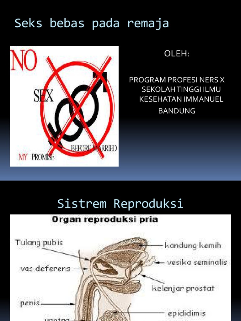 Powerpoint REMAJA SEKS | PDF