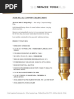 RTTS Packer: Technical Data Sheet | PDF | Pipe (Fluid Conveyance) | Valve