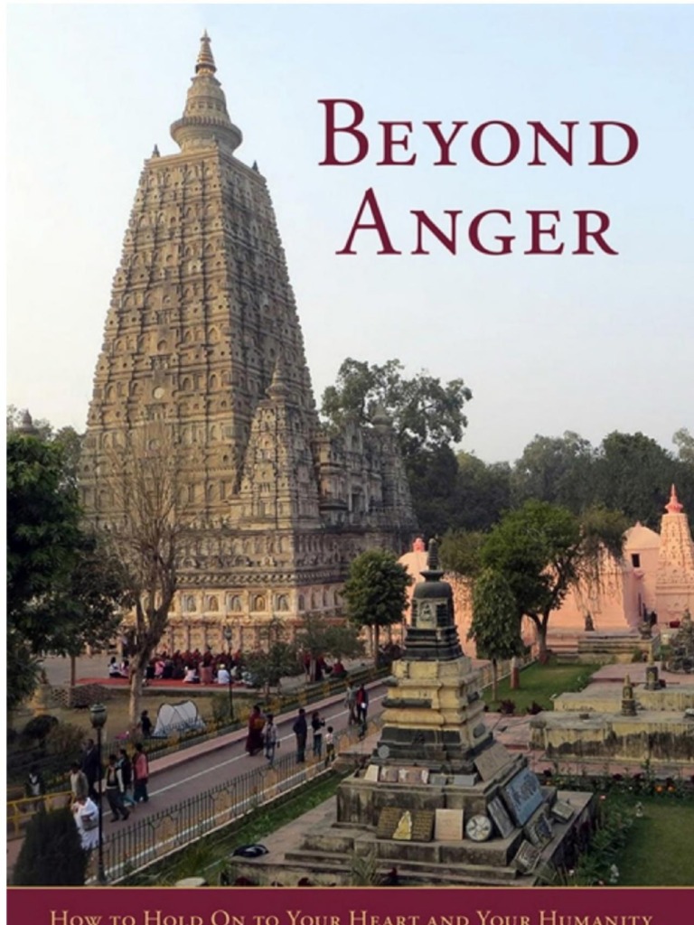Beyond Anger | PDF