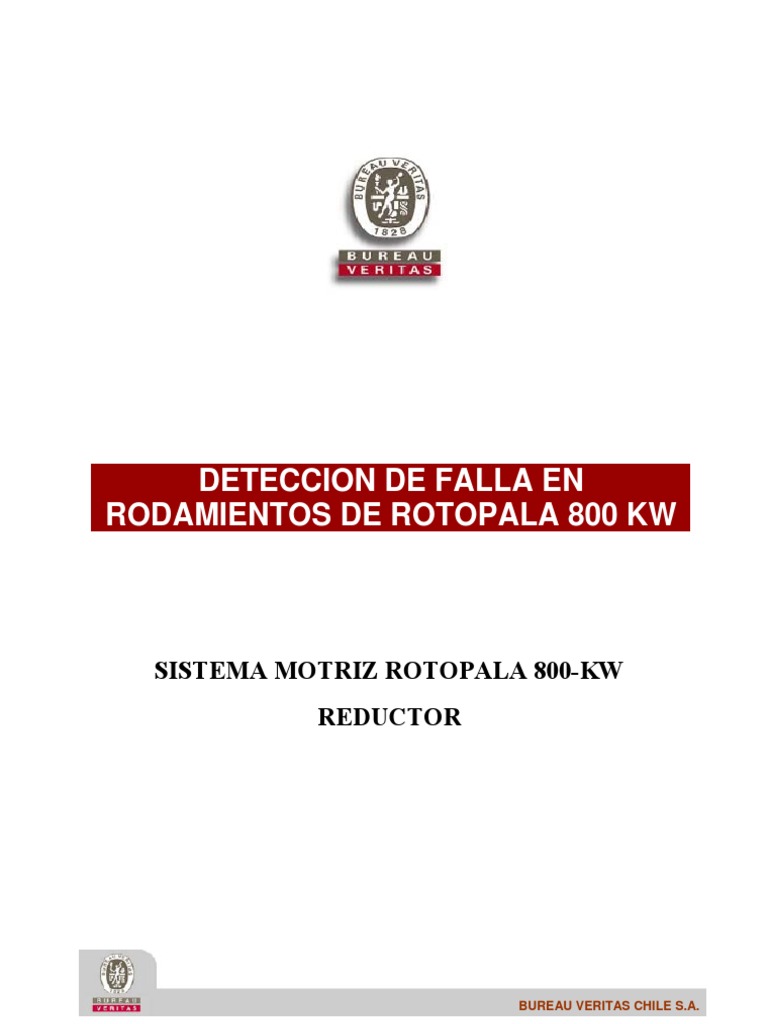 Nº1 - Informe DETECCION DE FALLA EN ROTOPALA | PDF | Naturaleza