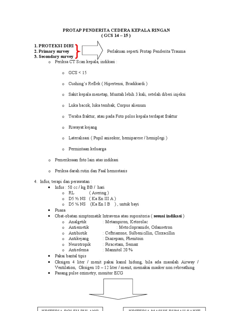 Protap Cedera Kepala Ringan | PDF