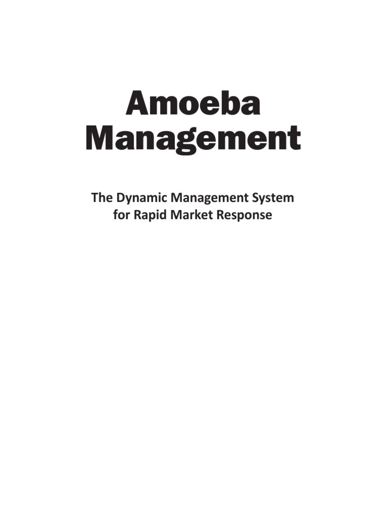 Amoeba Management | PDF | Profit (Accounting) | Revenue