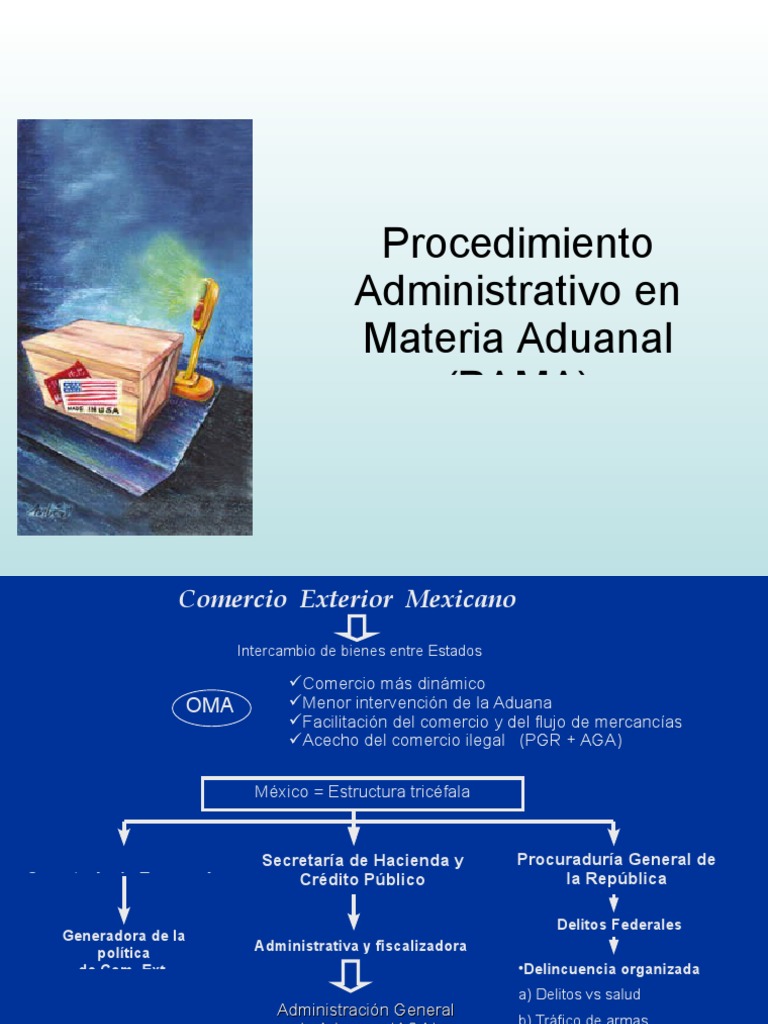 Presentacion-pama | aduana | Economía mundial