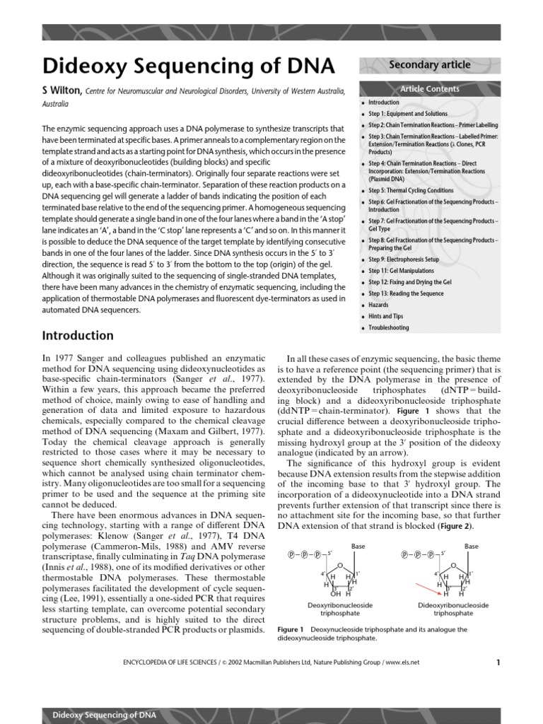 Dideoxy Sequencing of DNA PDF | PDF