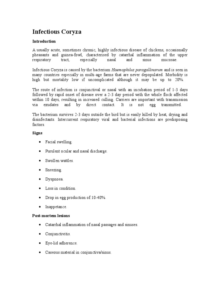 Infectious Coryza | Infection | Public Health