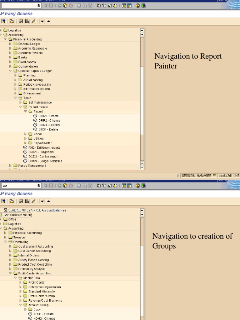 Manual SAp Report Painter | PDF