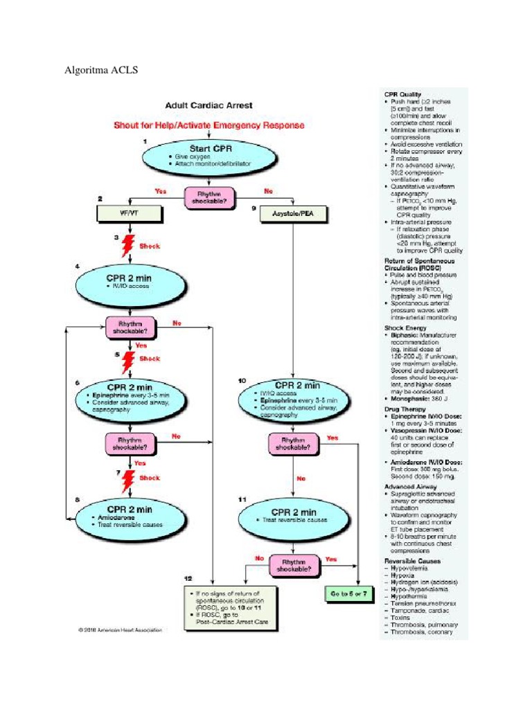 Algoritma Resusitasi Jantung Paru (RJP) dan Tahapan Pelaksanaannya | PDF