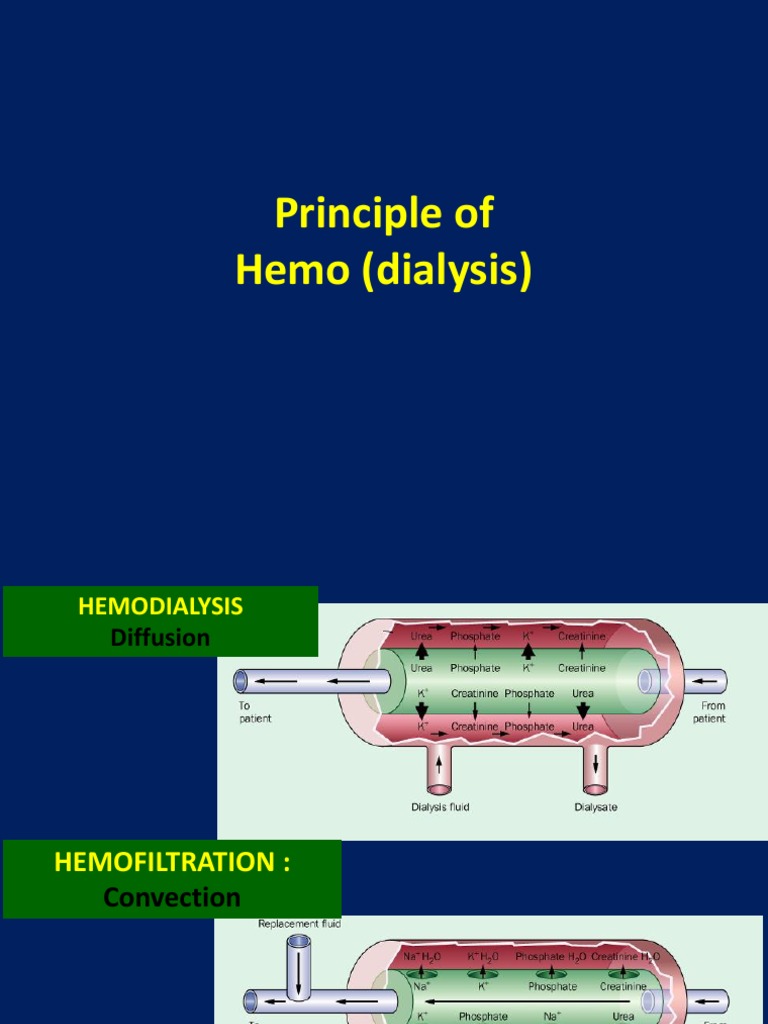 6.principle of HD | PDF | Dialysis | Hemodialysis