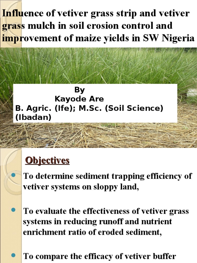 Influence of Vetiver Grass System On Slope Stabilization POWER POINT by ...