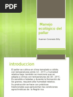 Agente Caotrópico | PDF | Ciencia y matemáticas