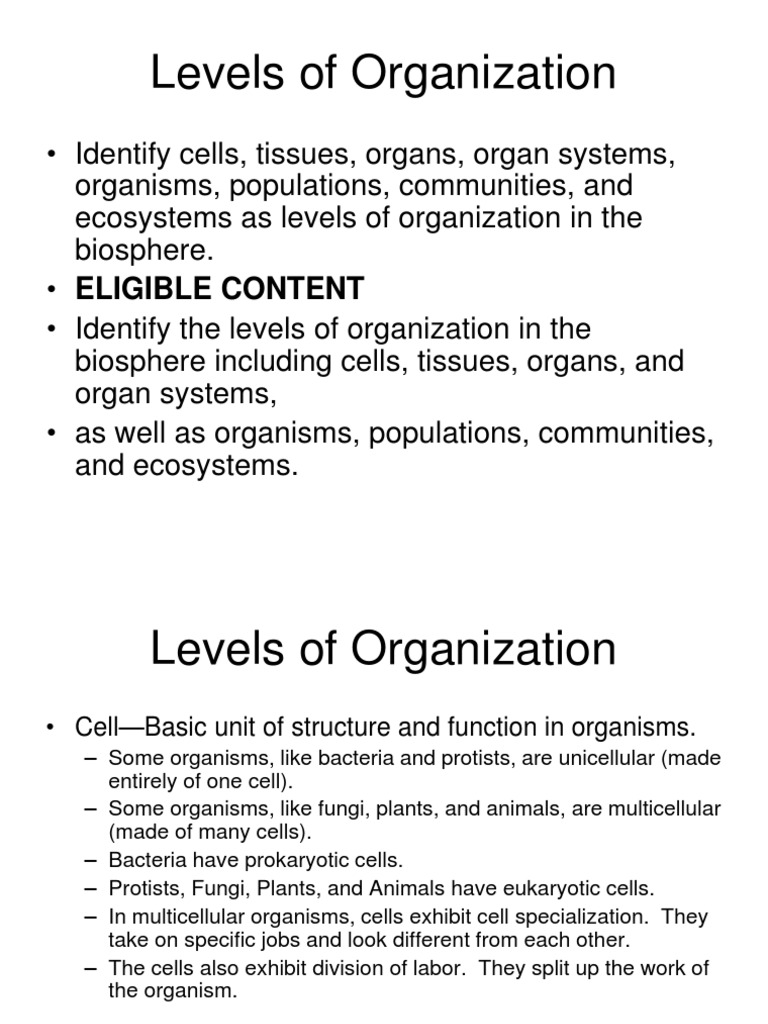 Levels of Organization | PDF | Tissue (Biology) | Cell (Biology)