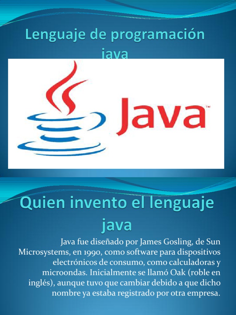 Lenguaje de Programación Java | PDF | Entorno de desarrollo integrado ...