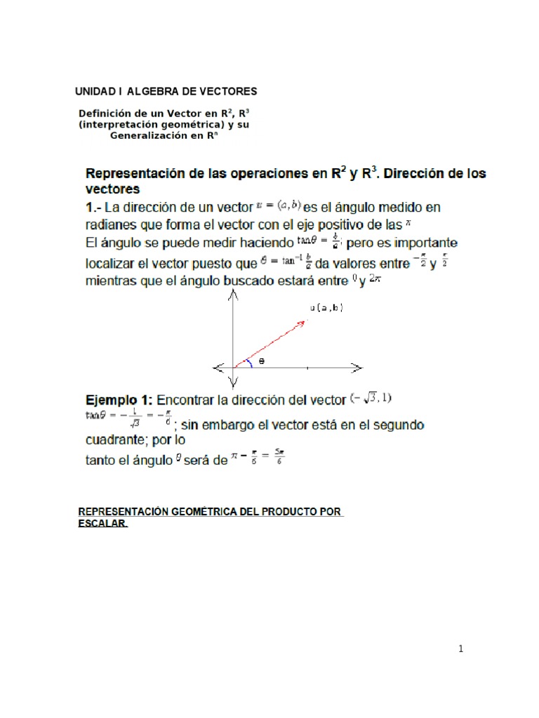 Manual Calculo Vectorial | PDF | Vector Euclidiano | Espacio vectorial