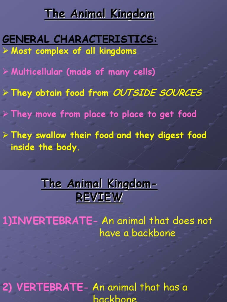 The Animal Kingdom: General Characteristics | PDF | Science & Mathematics