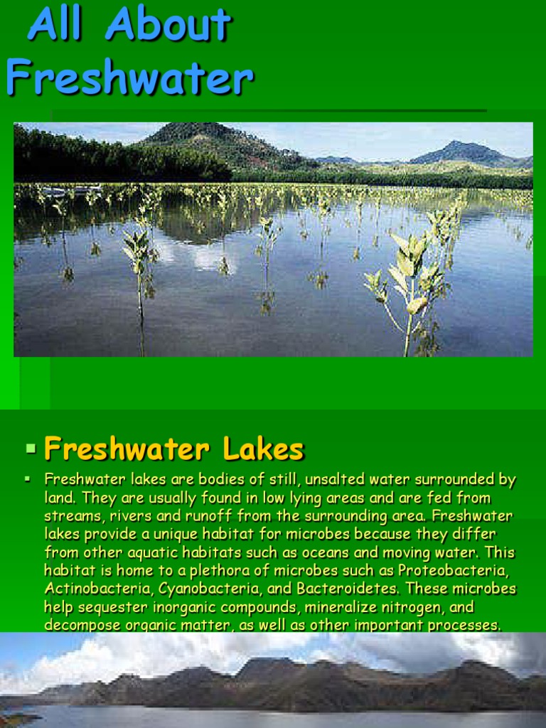 All About Freshwater.ppt | Lake | Aquatic Ecosystem