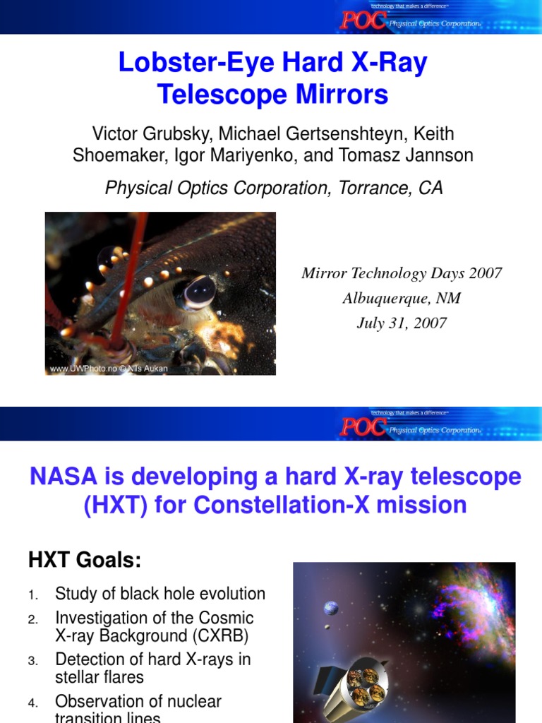 Lobster Eye Hard X-Ray Mirrors | PDF | Lens (Optics) | Telescope