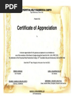 Sample Certificates For Judges | PDF