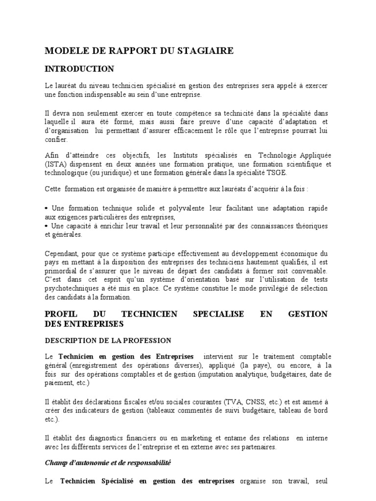 Modèle de Rapport de Formation TSGE | PDF | Compétence (Ressources ...