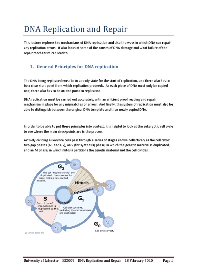 DNA Replication and Repair | PDF | Dna Repair | Dna Replication