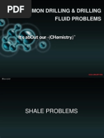 Cavings Poster-1 SLB | PDF | Borehole | Fracture