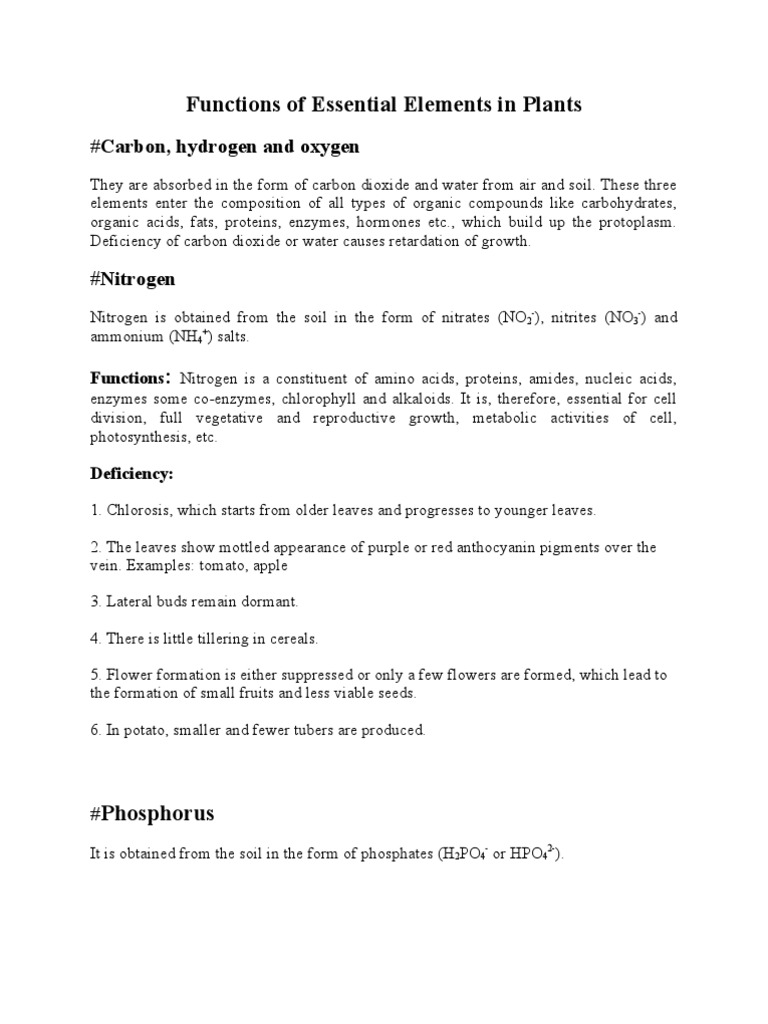 Essential Elements' Roles in Plants | PDF | Leaf | Physical Sciences