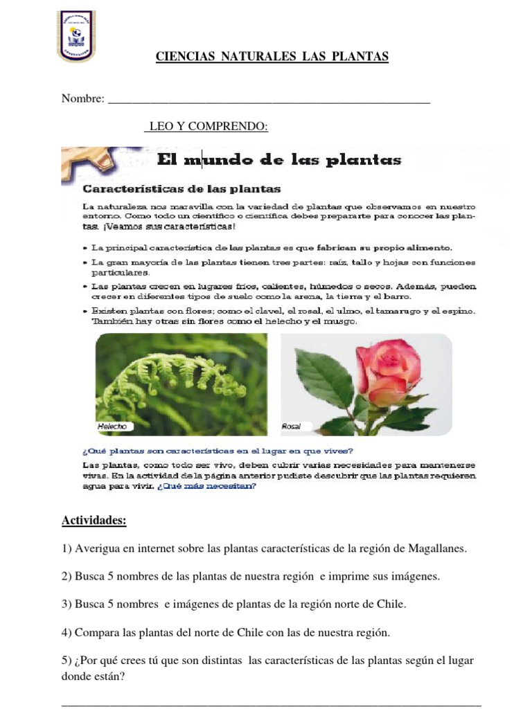Ciencias Naturales Las Plantas | PDF