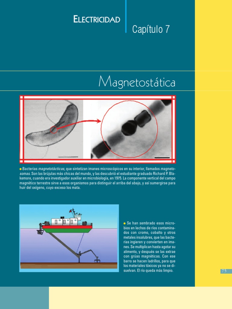 07 - Cap. 7 - Magnetostática | PDF | Imán | Magnetismo