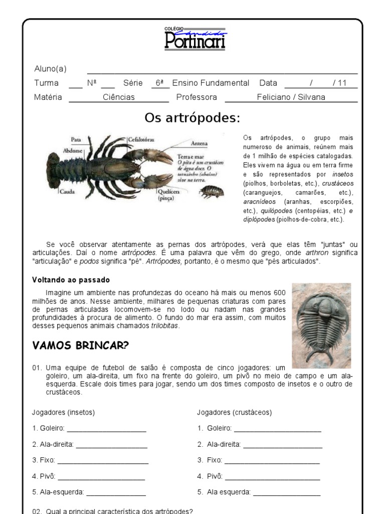 Artropodes | PDF | Artrópodes | Insetos