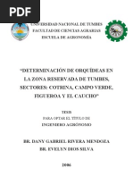 Definición y Características del Cauce | PDF