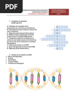 Sopa de Letras Adn | PDF