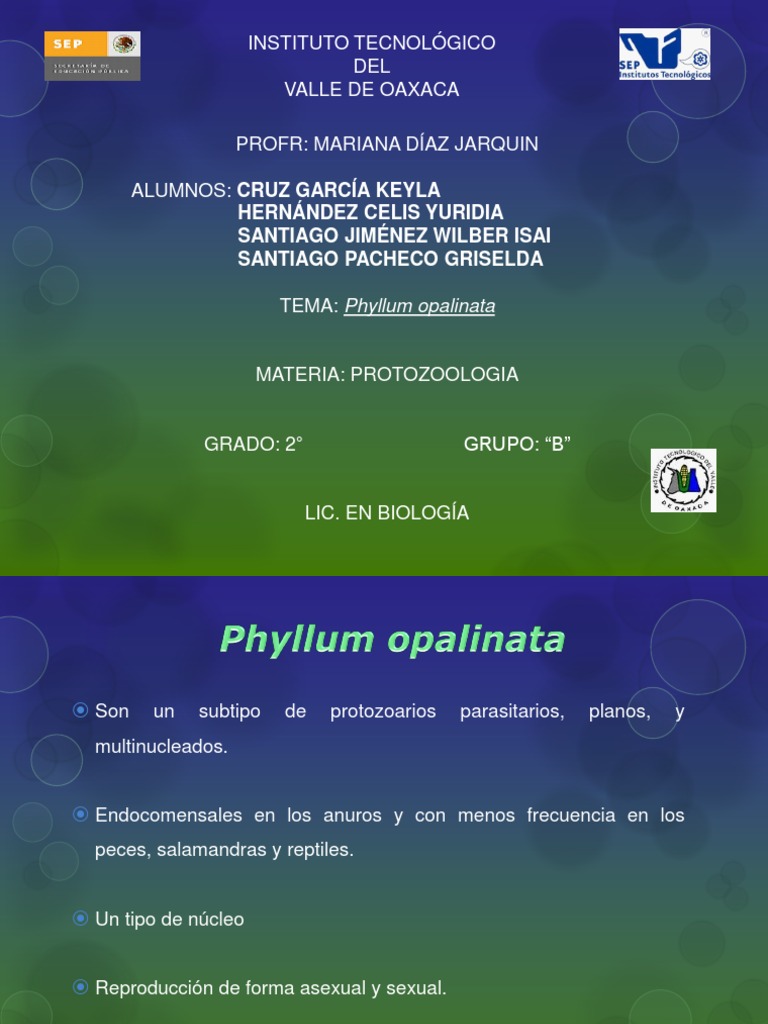 Phyllum Opalinata | PDF | Protozoos | Biología Celular)