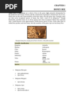 Rosie The Transgenic Cow | PDF