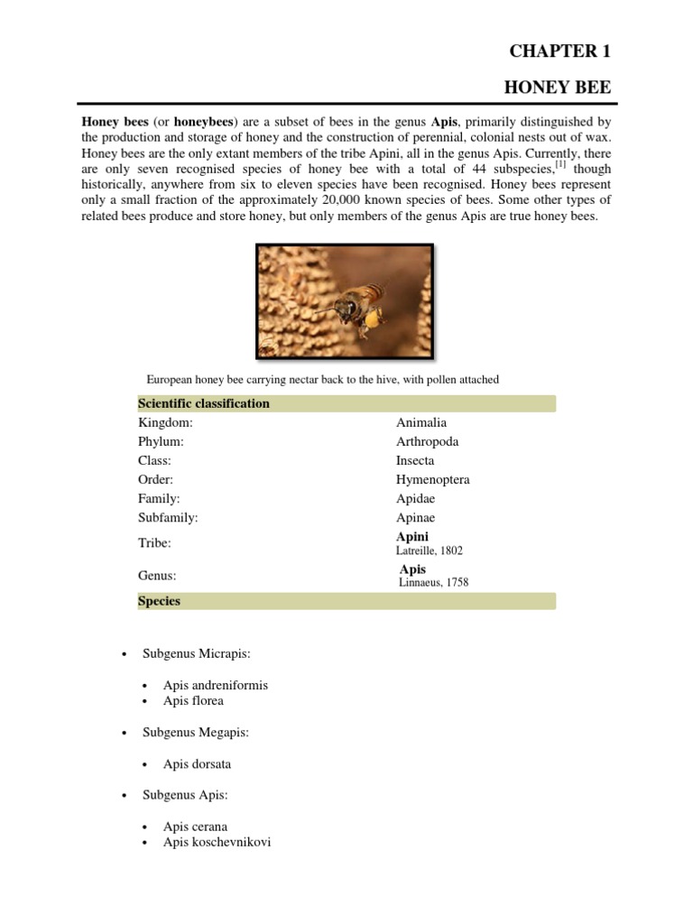 UNIT - 1 Apiculture Project 2 | PDF | Honey Bee | Beekeeping