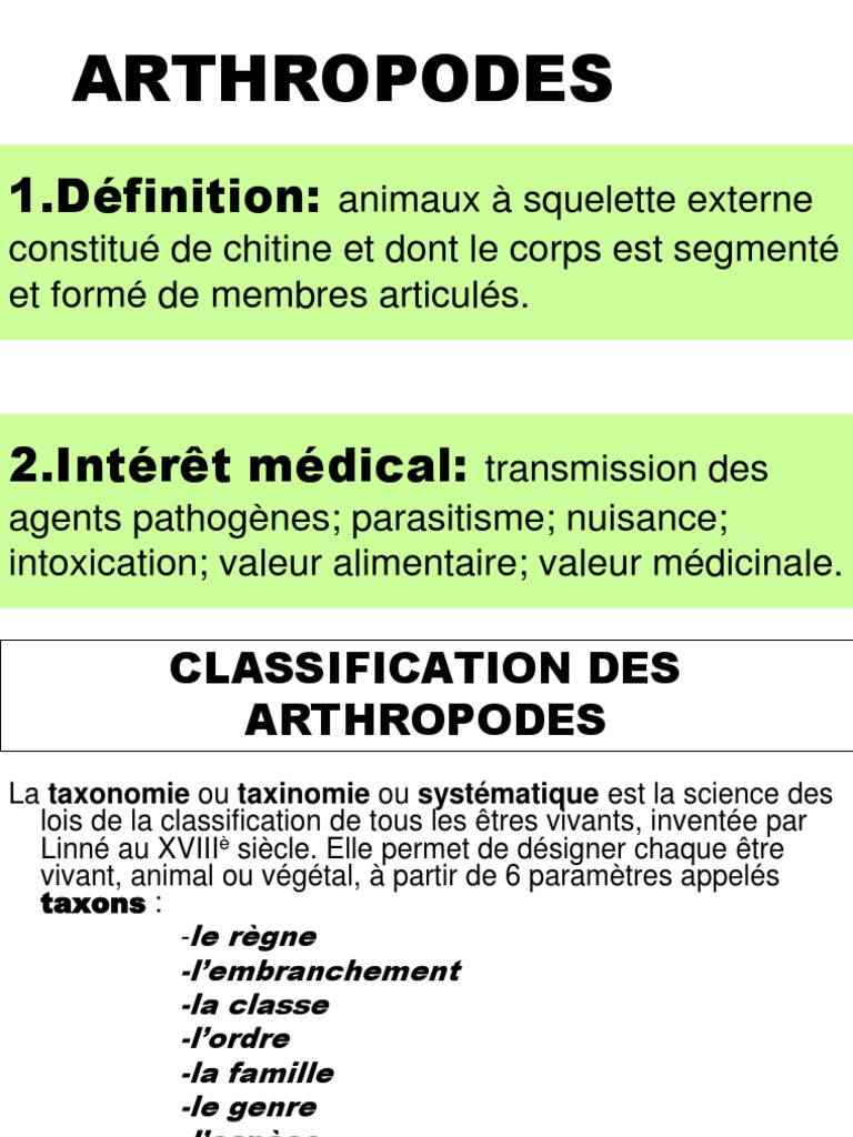 Classification des Arthropodes | PDF