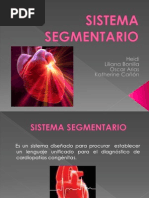 Comparación Anatómica Del Corazón Humano Con El Corazón de Animales ...
