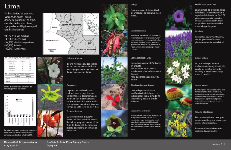 Flora Lima | PDF | Hoja | Plantas