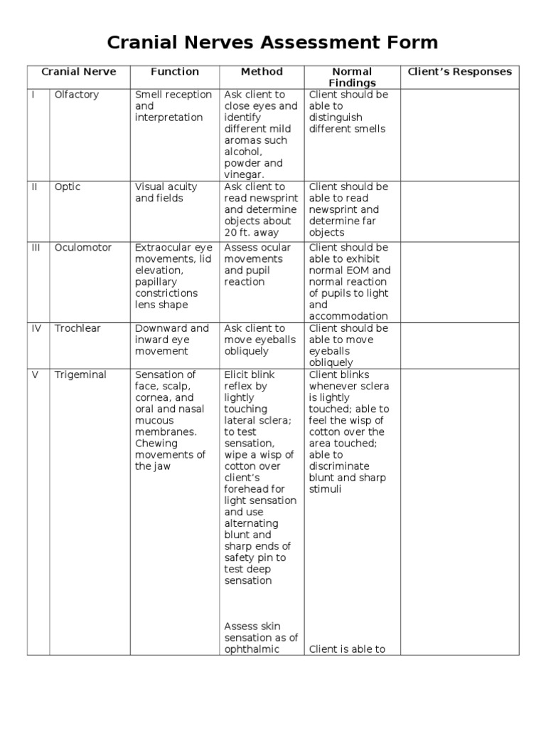 Cranial Nerves Assessment Form | Human Eye | Senses