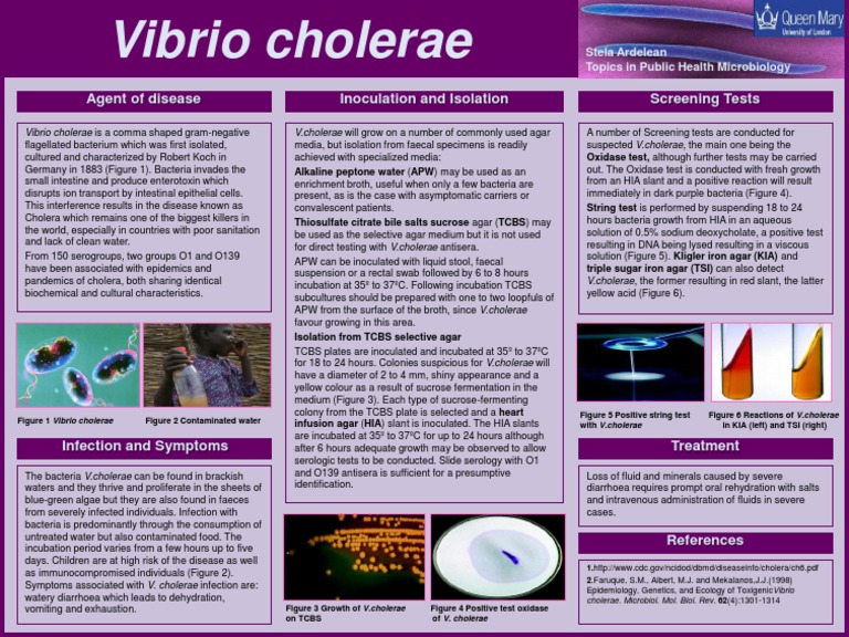 Vibrio cholerae Poster | Cholera | Growth Medium