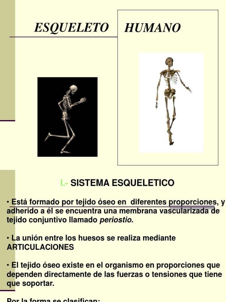El Esqueleto 2 | PDF | Ciencias sociales | Ciencia y matemáticas