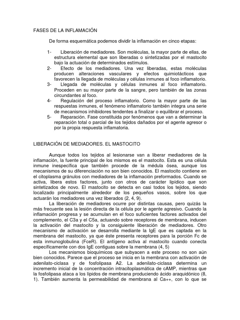 Fases de la Inflamación: Proceso y Mediadores | PDF | Sistema ...