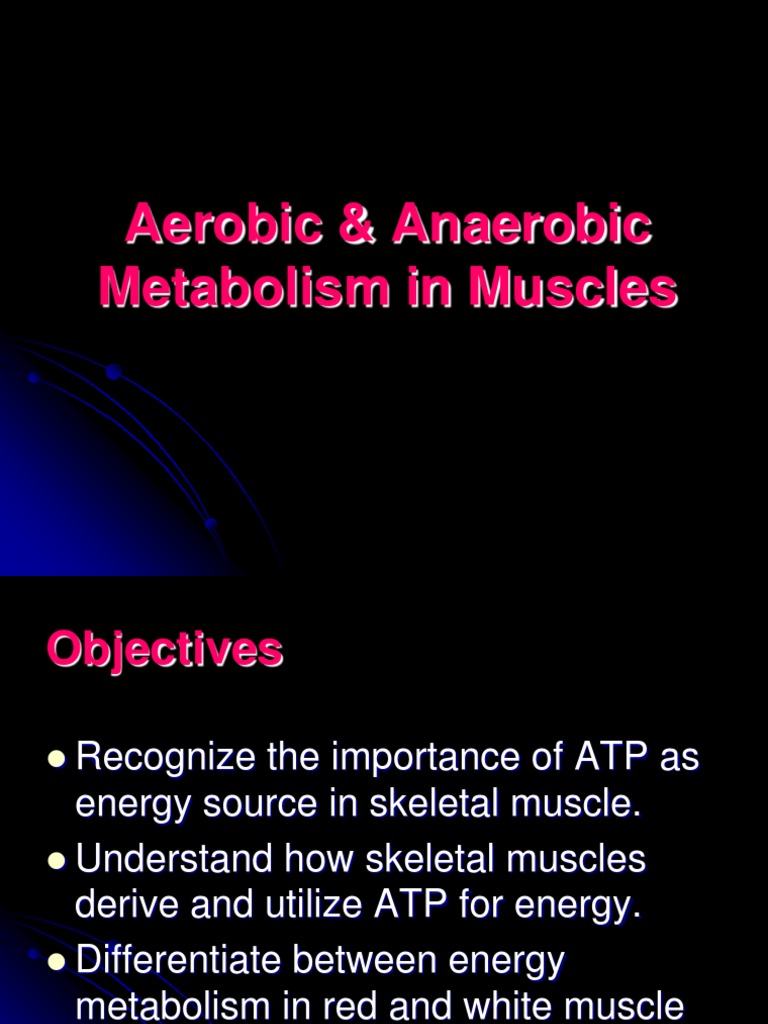 Energy Systems in Muscle Metabolism | PDF | Cellular Respiration ...