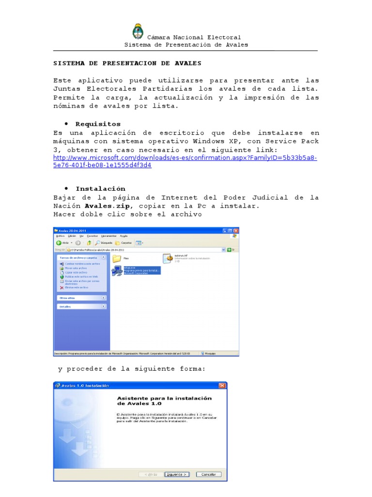 Instructivo Del Aplicativo Avales | PDF | Point and Click | Archivo de computadora