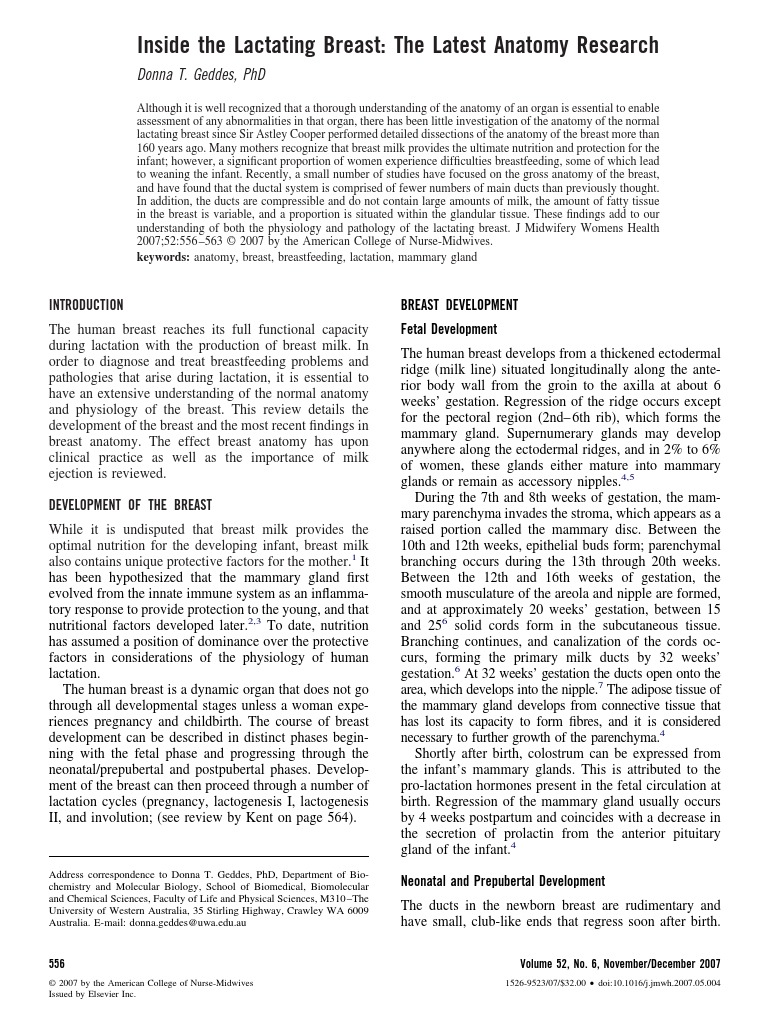 Lactating Breast | Lactation | Breastfeeding