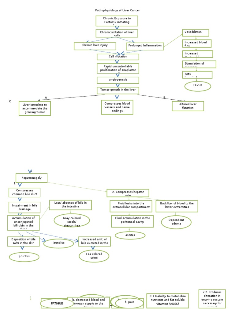 Pathophysiology of Liver Cancer 2 | PDF | Liver | Bile