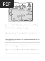 The Essential Phowa Practice | PDF | Prayer | Tibetan Buddhism