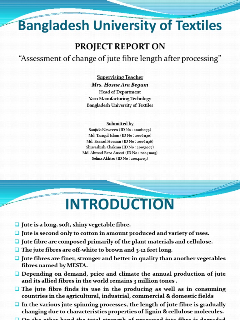 Jute Presentation (2003 Format) | PDF | Fibers | Jute