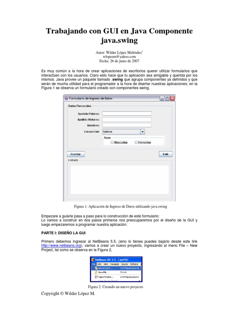 Gui Java | PDF